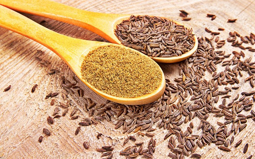 Kimyon Bitkisi Nasıl Yetiştirilir - İNTFA BLOG - Tarımsal Blog